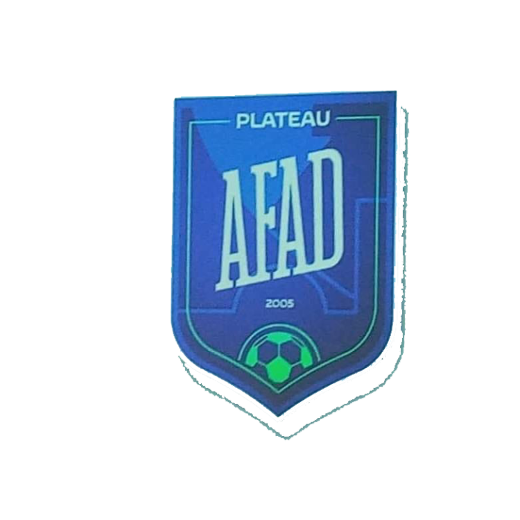 Le classement de la Ligue 1